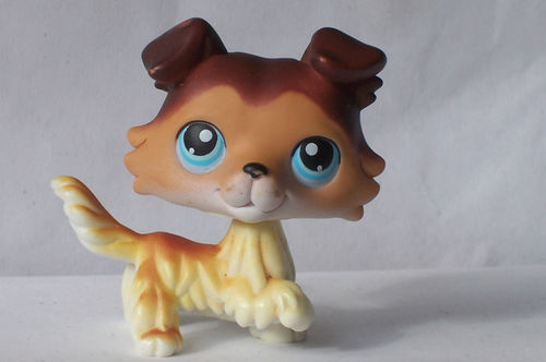 I Love Sage and Savannah together on LPS: POPULAR!