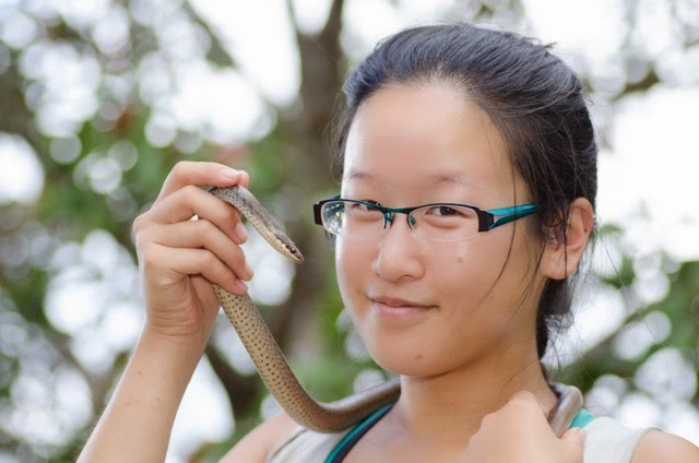 Life is short, but snakes are long: How to teach yourself about an ...