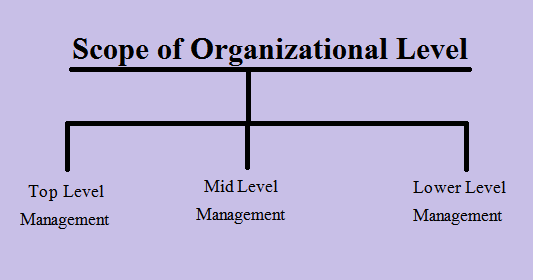 Scope of Management | Business Consi