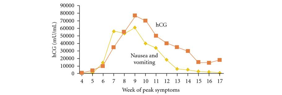 Pregnancy Tips for Surviving the First Trimester