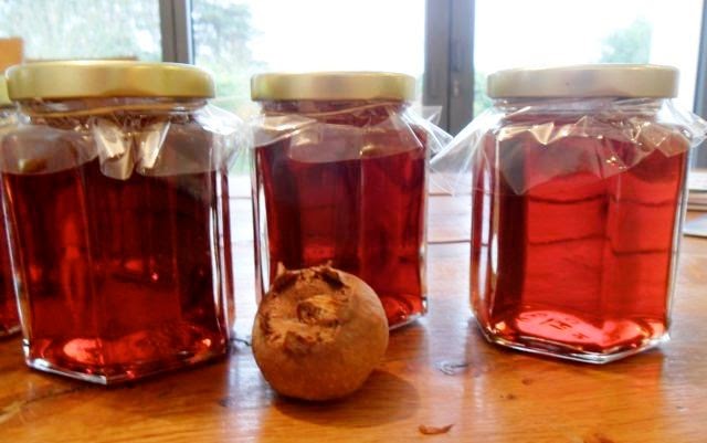 The Urbane Forager: Meddling with Medlars