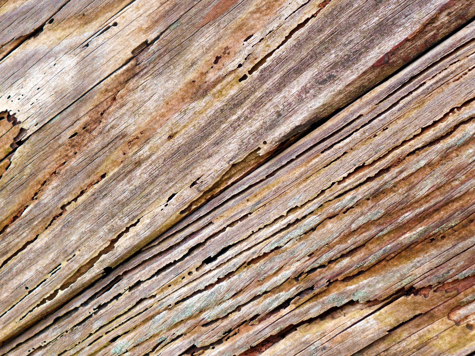 Textura de madera vieja de color marrón | Todas las texturas