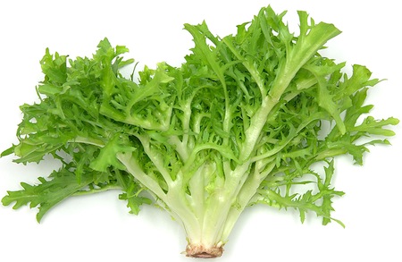 Portal de Saude: Benefícios de comer escarola