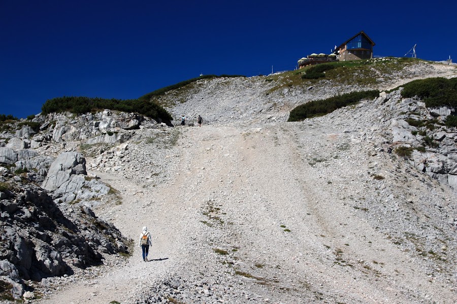 Quickly climb the mountain hiking trails and enjoy the prehistoric ...