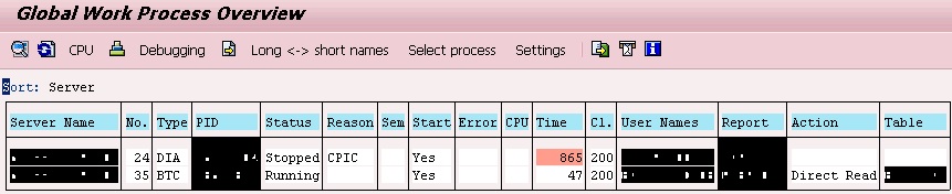 SAP BASIS Crew: ABAP & JAVA stack checks