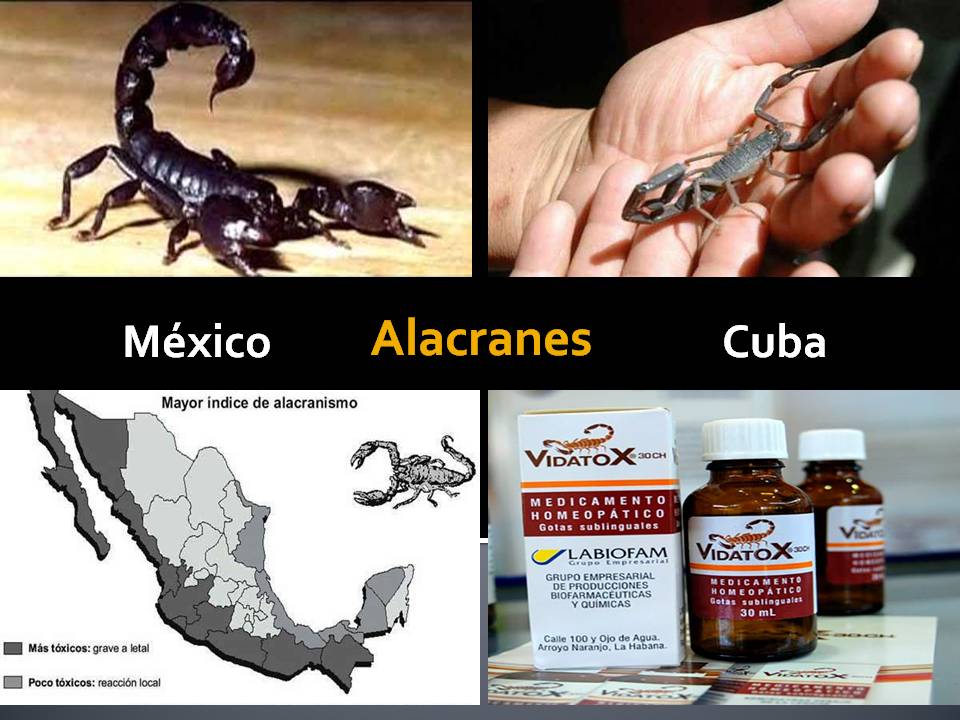 México a través de la mirada de una cubana: Alacranes en México y Cuba