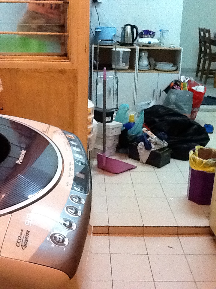 nama saya ialah Puan cik eZaSarey: 2 minggu tanpa suami dan deko ruang dobi