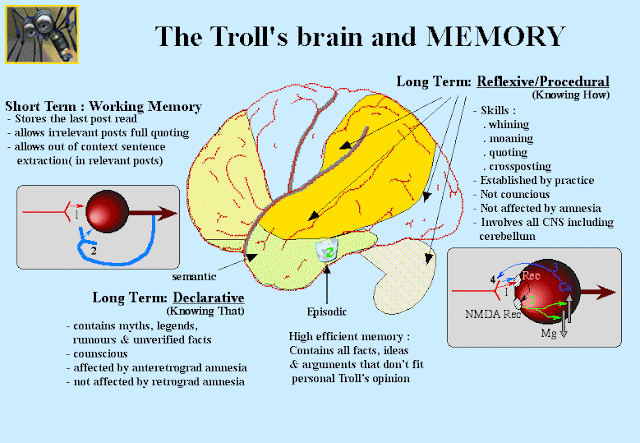 Brain Memory