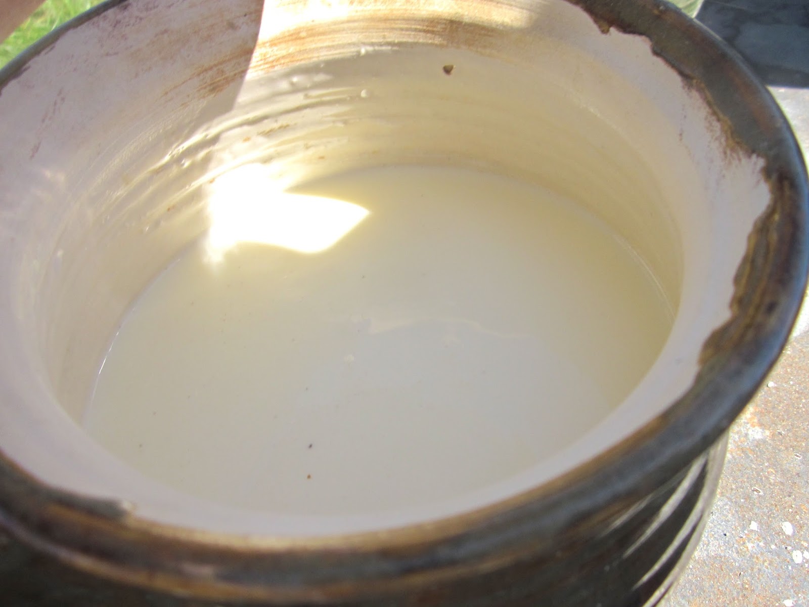 Chez Vorax -- Experiments in cooking: Lemon curdled cheese over the fire