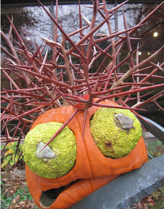 The Phytophactor: Invader Zim Pumpkin?
