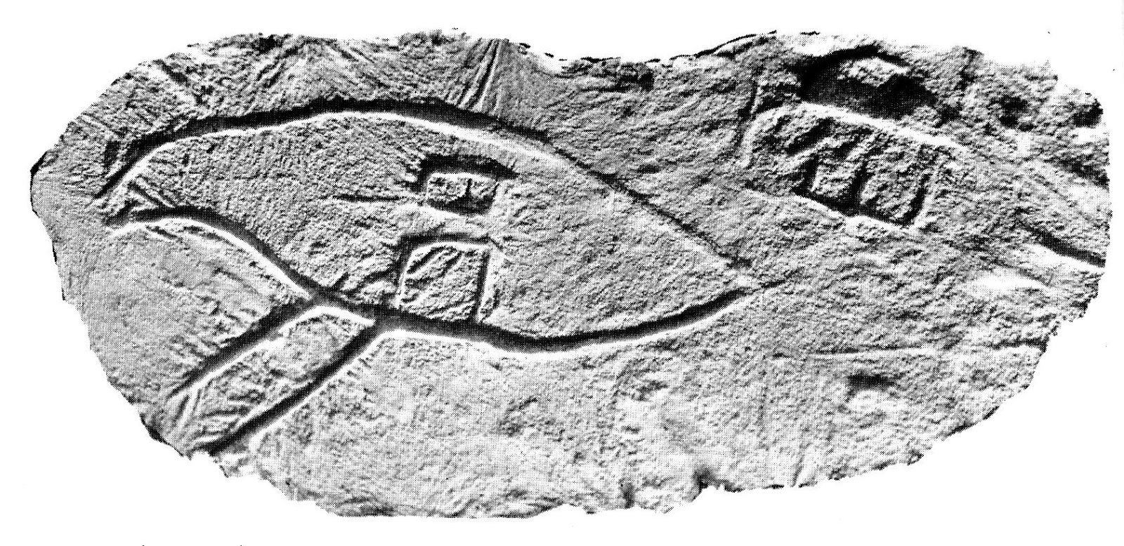 Rock Art Blog: WHERE BARRY FELL – PICTURE CANYON: