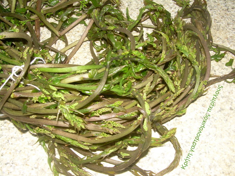 Αβρωνιές (μια σπάνια συνταγή) - cretangastronomy.gr