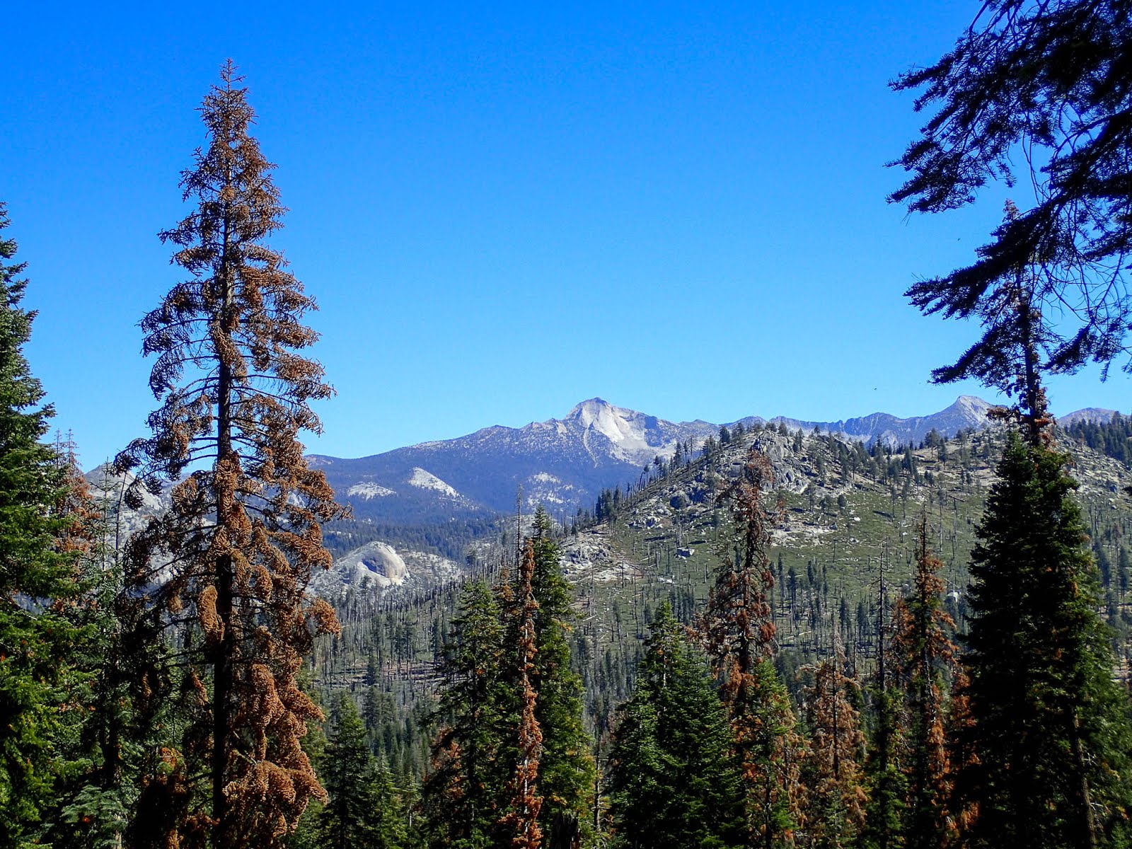 Kaweah Group Climbs Mount Clark In Yosemite WTC Experience Trip - First ...
