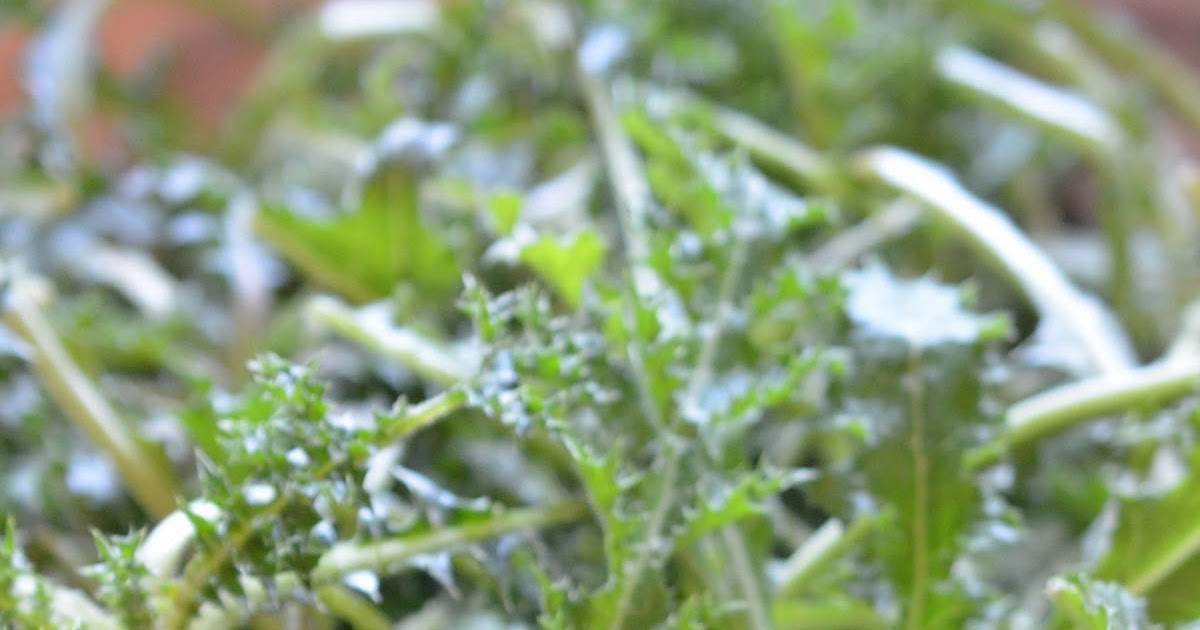 Jurnal de gradina: Scaieti dulci