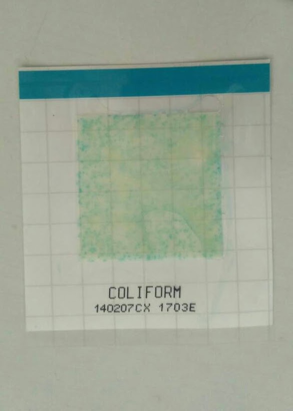 Bakteri Coliform - Perumperindo.co.id