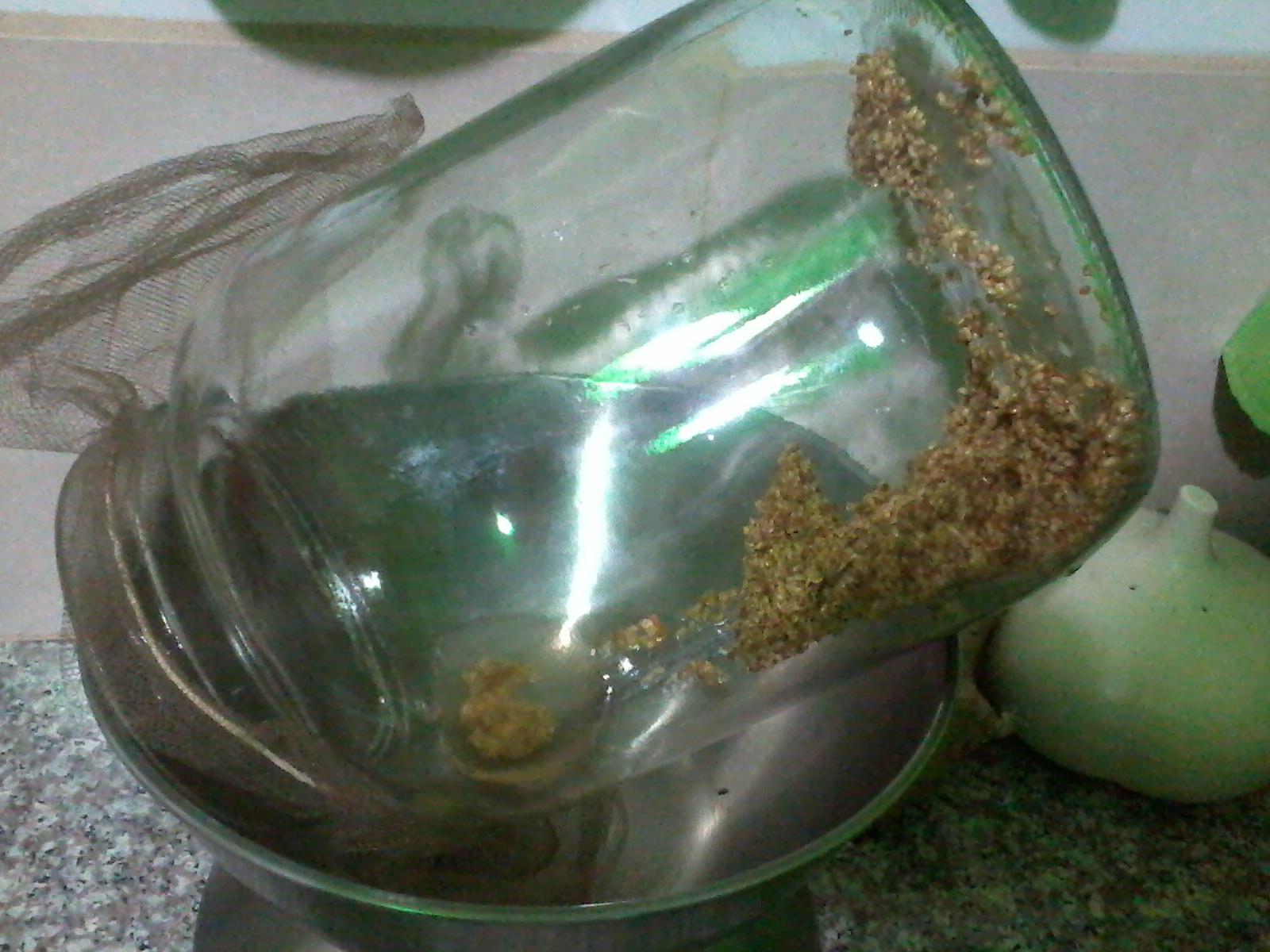 Tu Espacio Saludable