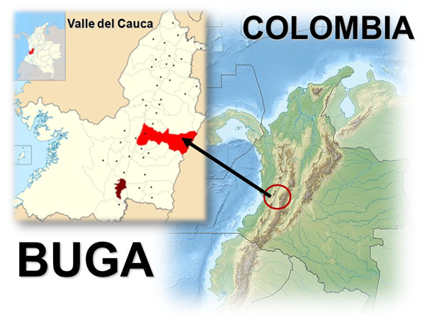 ANÁLISIS INTERNO Y EXTERNO DE LA INSTITUCIÓN EDUCATIVA TULIO ENRIQUE TASCÒN