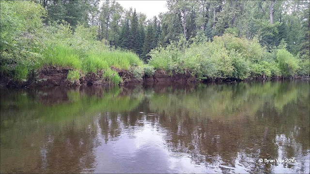 Northern Interior British Columbia: My Bulkley River 4 Houston British ...