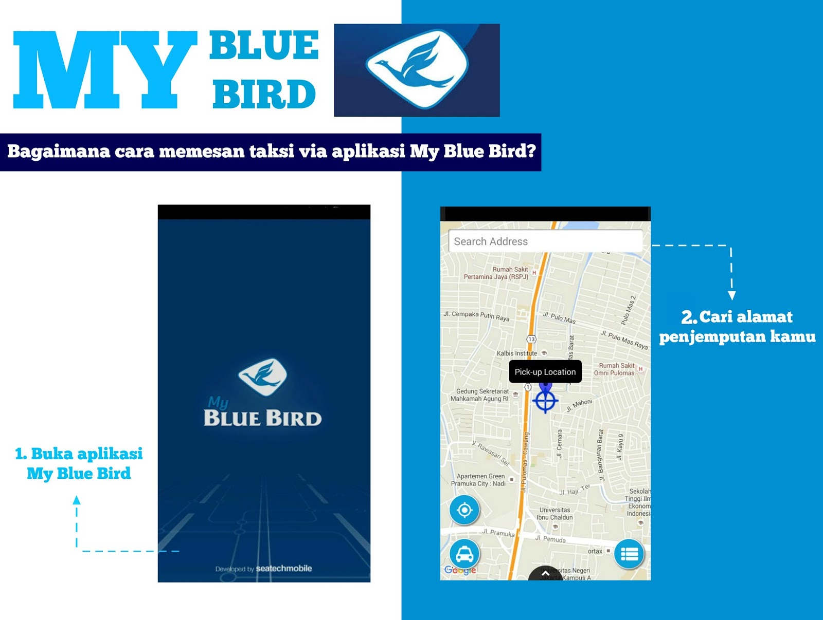 My Blue Bird App, Penghuni Setia Ponsel Pintarku