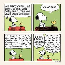 Best Ever Infinity Comic Strips : Peanuts / Snoopy
