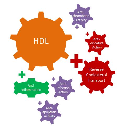 The Pillars of Health:The Prelude: How to Raise Your Cardioprotective ...