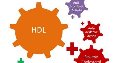 The Pillars of Health:The Prelude: How to Raise Your Cardioprotective ...