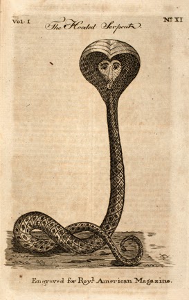 Rare Natural History: The Hooded Serpent