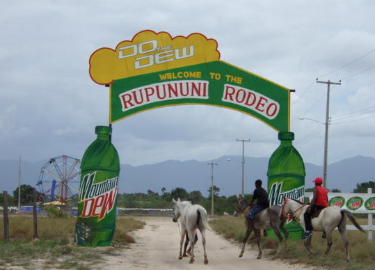 Attractions in Guyana: Rodeo in Lethem