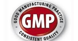 Common Ways to Avoid the Most Frequent GMP Errors : Pharmaceutical ...