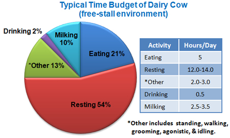 Ag Equipment & TMR Info Center: How to maximize your dairy's ...