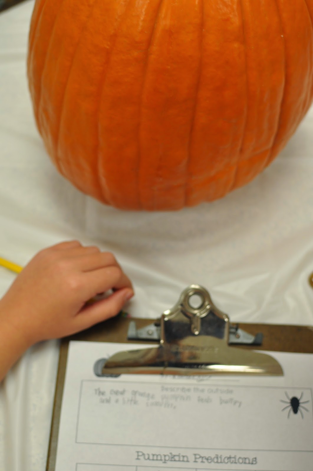 The Wanderlust Teacher: How Many Seeds in a Pumpkin?