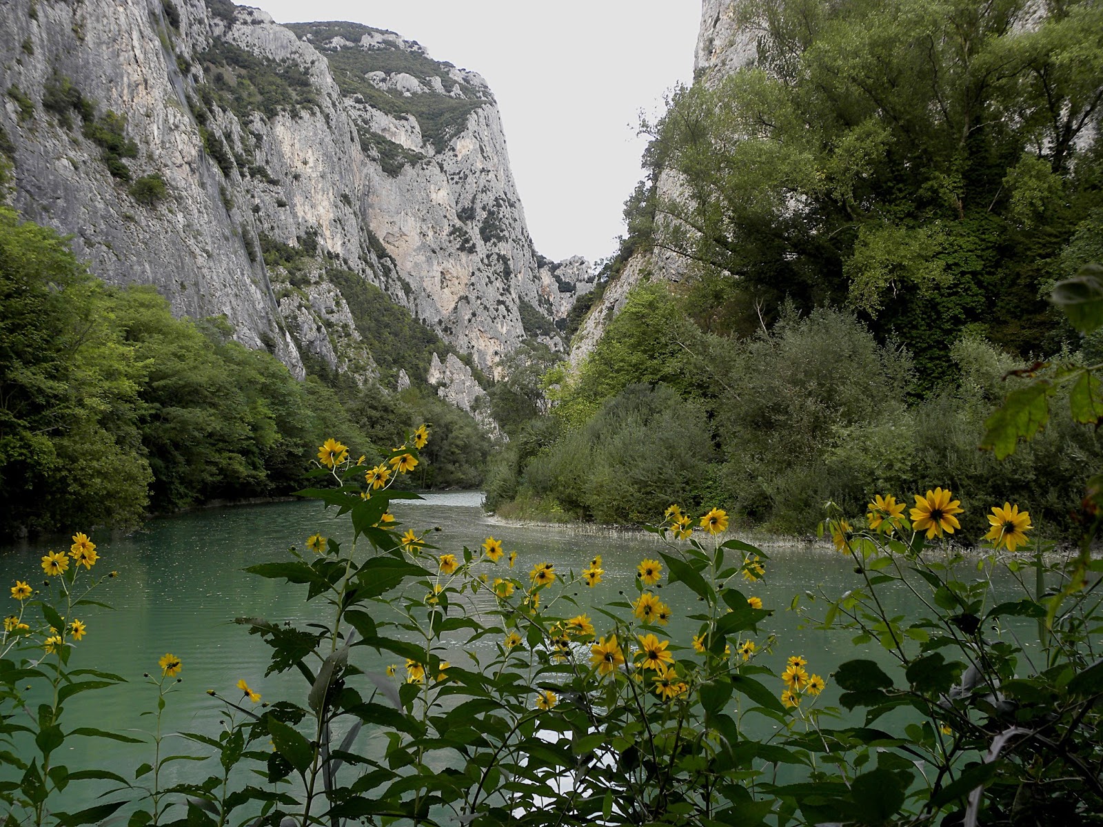 Acqualagna ( PU ), la terra dei tartufi - THE MARCHE EXPERIENCE