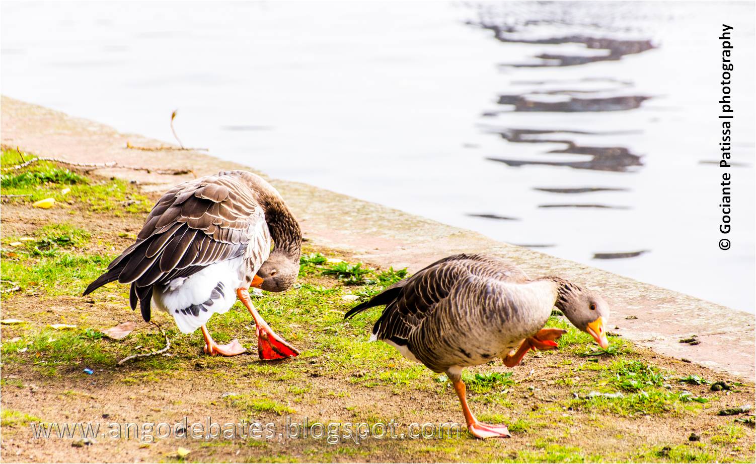2016 ~ Ombembwa Angola (Umbundu)
