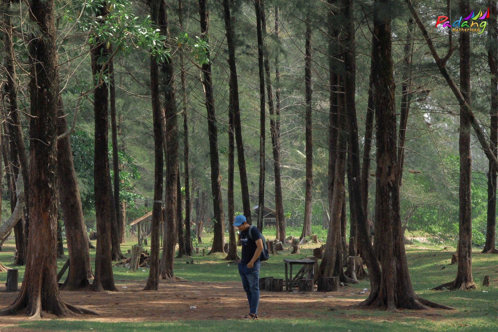 Jelajah Nagari Awak: Pantai Pasie Jambak dan Jambak Sea Turtle Camp ...