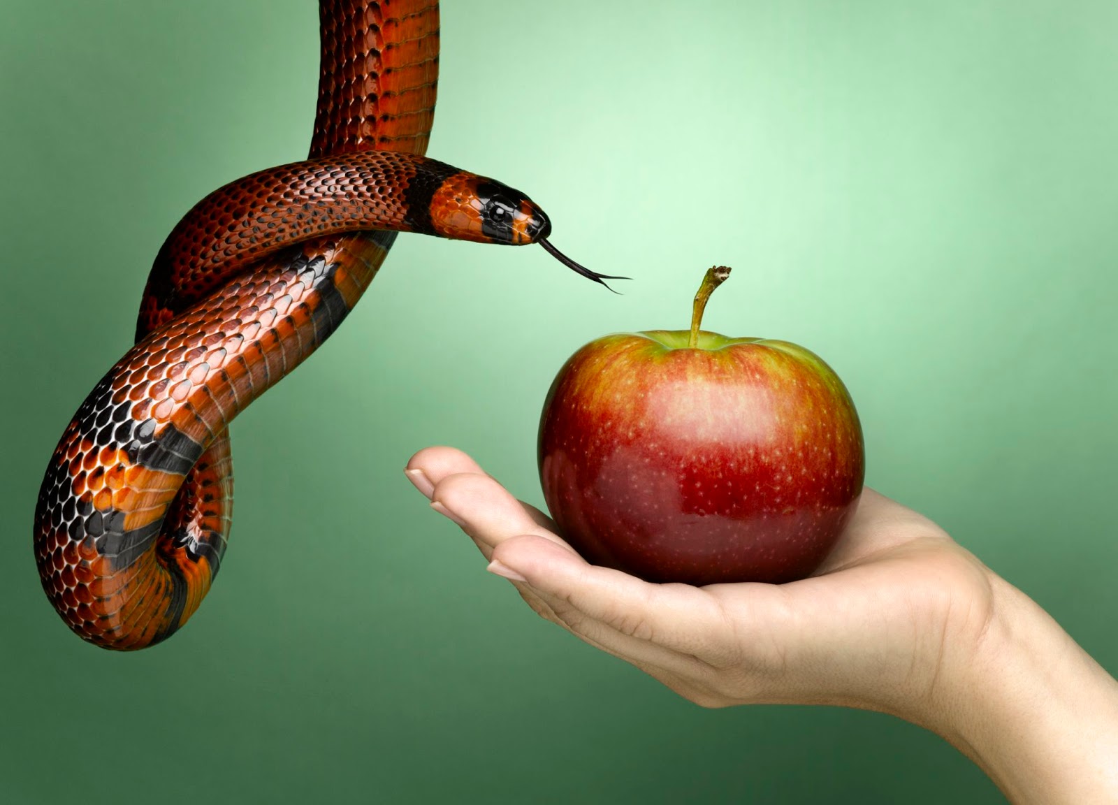 Ulf Magnes blogg: Fristelse