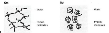 Food Science Notes for 2nd Semester HM students: UNIT 8 - COLLOIDS