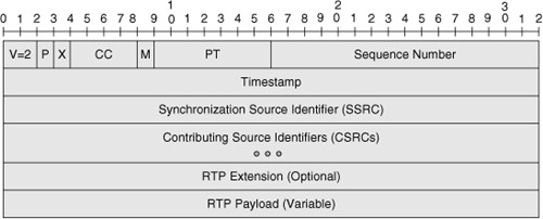 Cisco Telepresence: Real-Time Transport Protocol | Encoding and ...