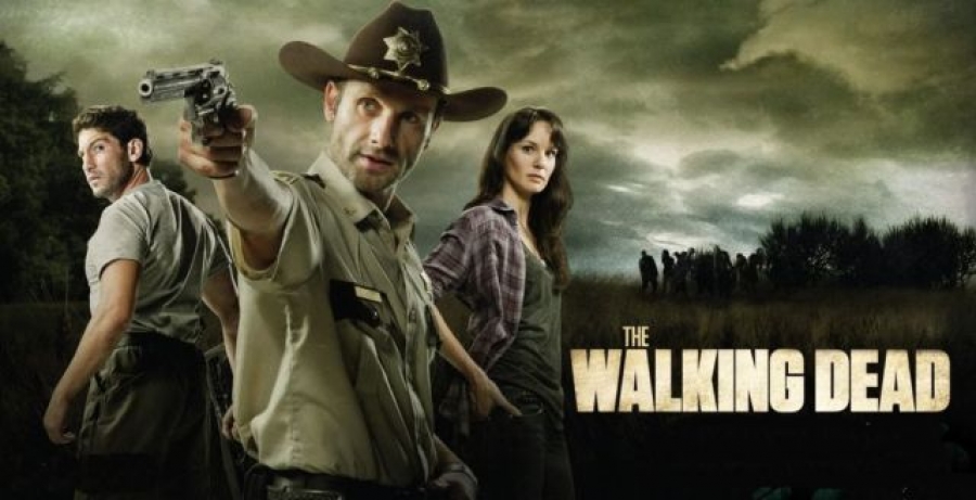 Joe Torcivia's The Issue At Hand Blog: DVD Review: The Walking Dead ...