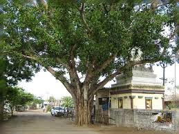 mrm velsingh blogspot.in: 2014