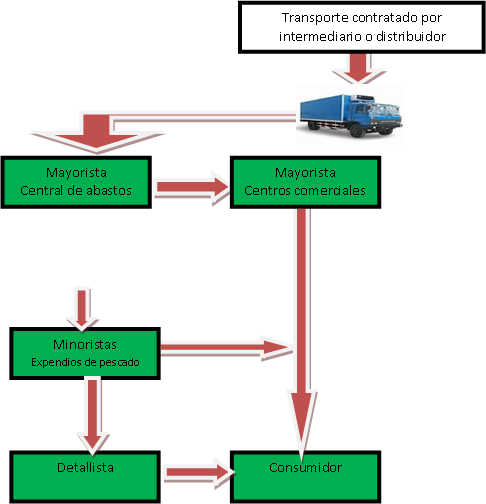 Medio de transporte U3_A2