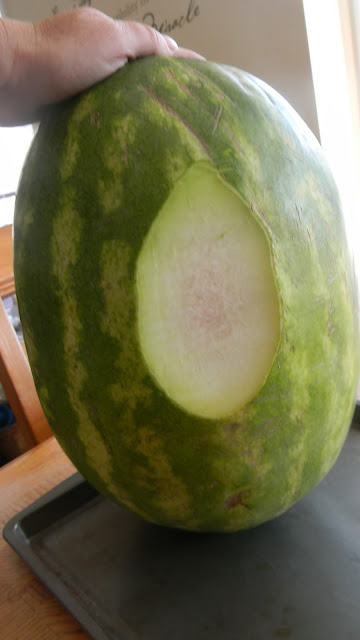 Pams Party & Practical Tips: Hedgehog Watermelon