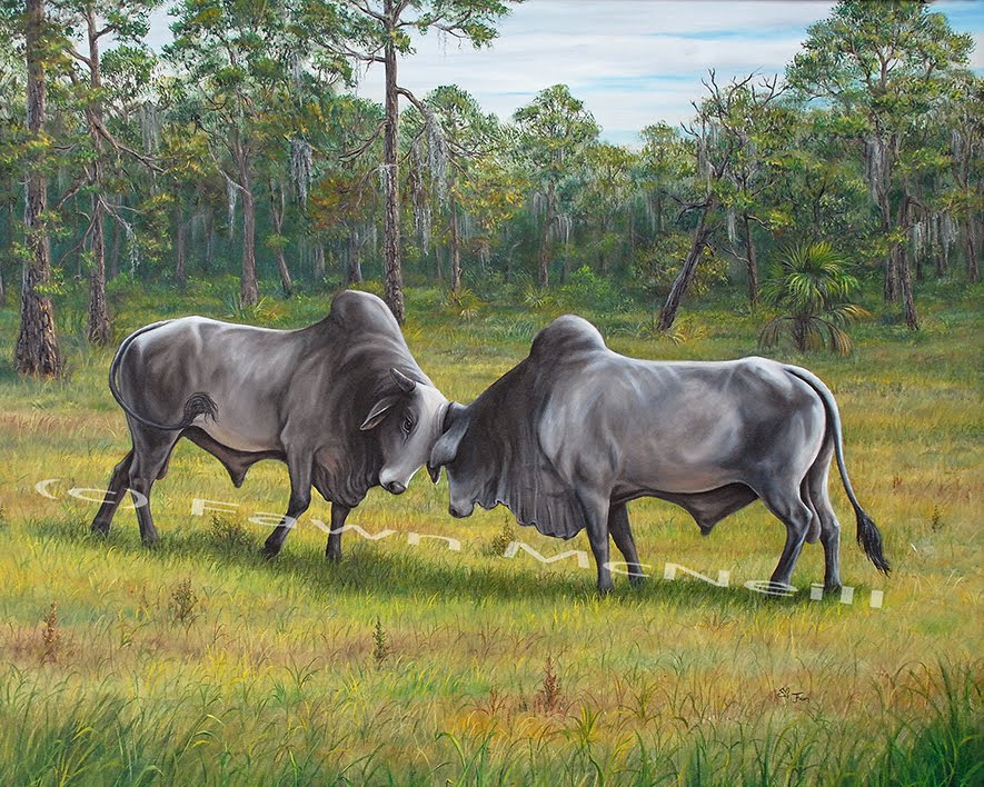 Fawn's Paintings: Bull Headed, brahman bulls