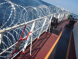 In a nutshell: Clear and Present Danger to the Life at Sea