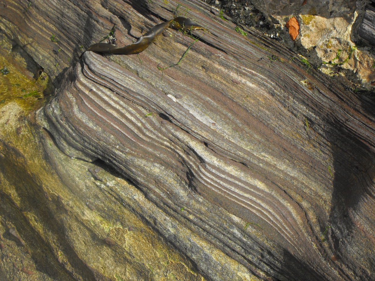 Largo Baywatch: Rock Striations