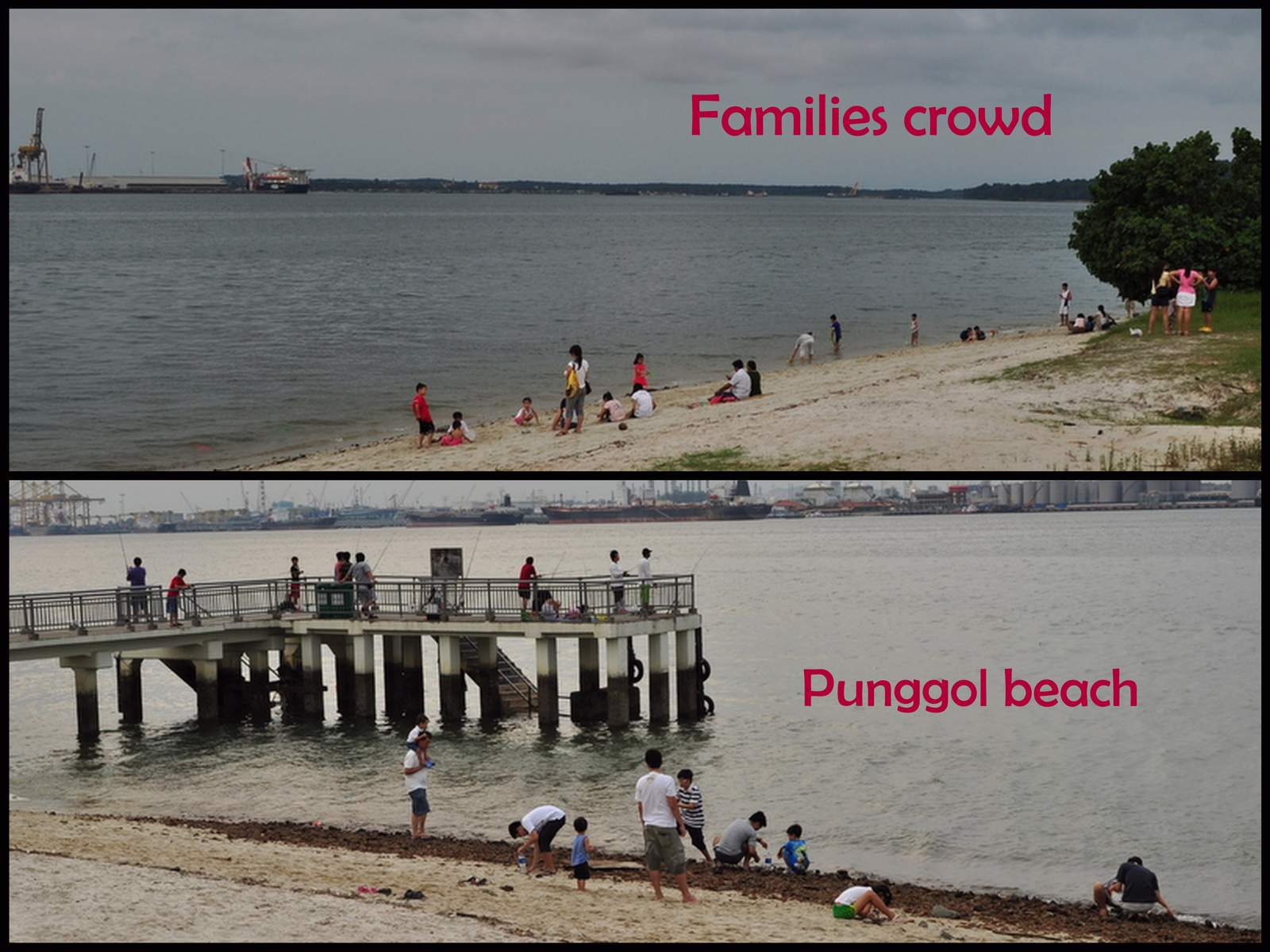 SengkangBabies: Punggol Jetty, good spot for family picnic