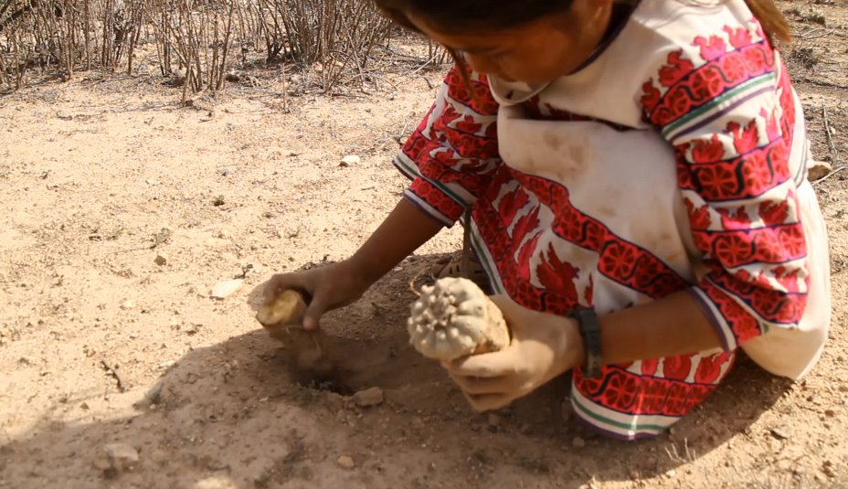 Huichol Peyote Rattle