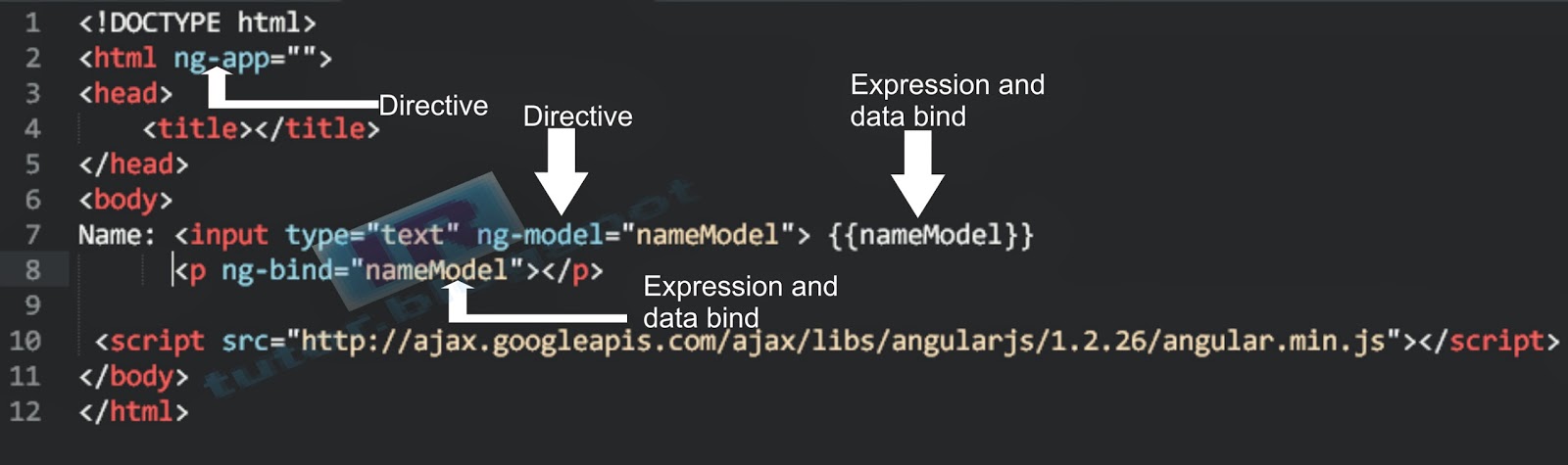 What Is Directives Filters Data Binding In Angularjs Tutorials Free 9417