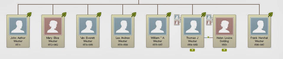 Wester Elkins Family Tree: Wester Family Tree 1771