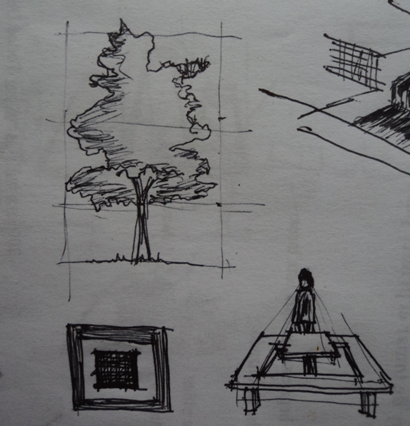 NOPAL ARQUITECTURA ESTRUCTURAL: CROQUIS