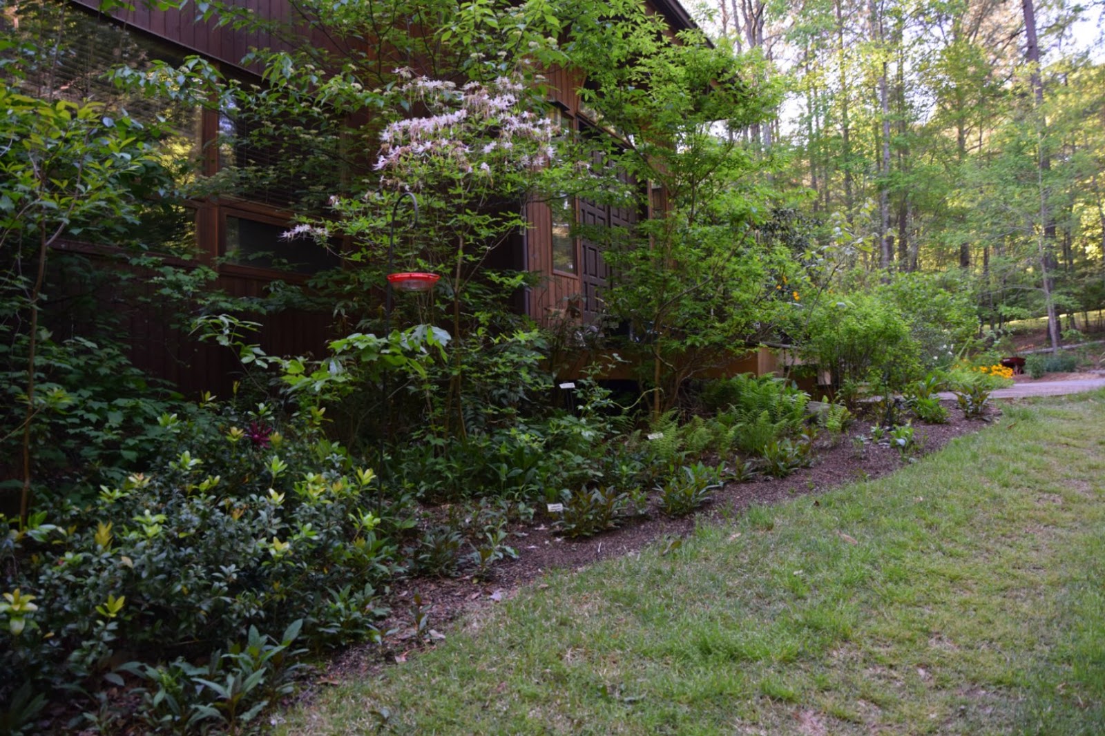 Using Georgia Native Plants: April 2016